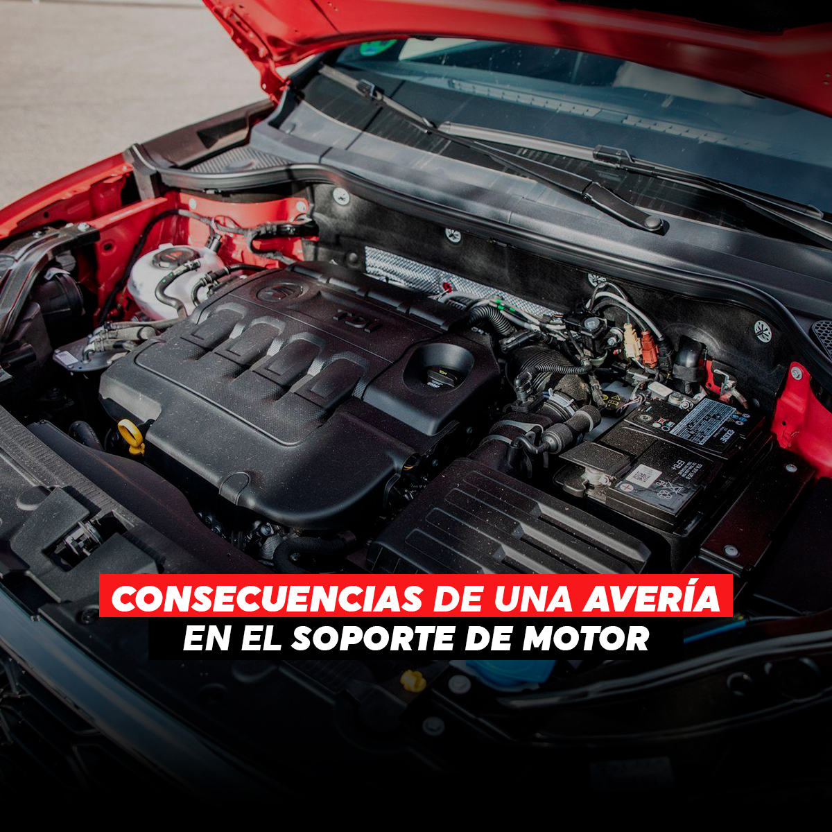 CONSEJOS - CHAVEZ IMPORTADORA